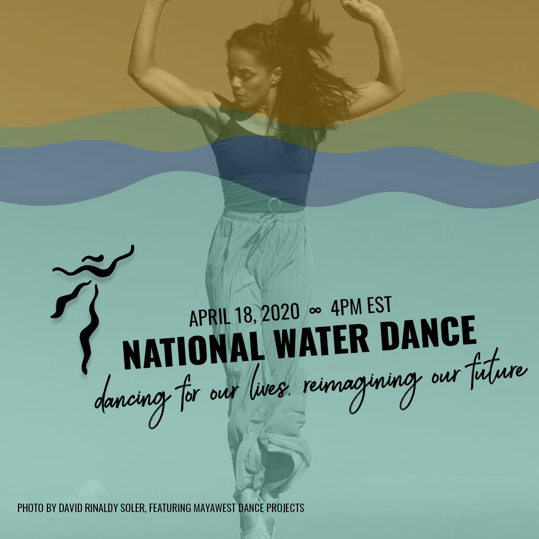 Live-streaming National Water Dance 2020 - Live Arts Miami